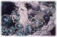 Beachcombing on the Oregon Coast